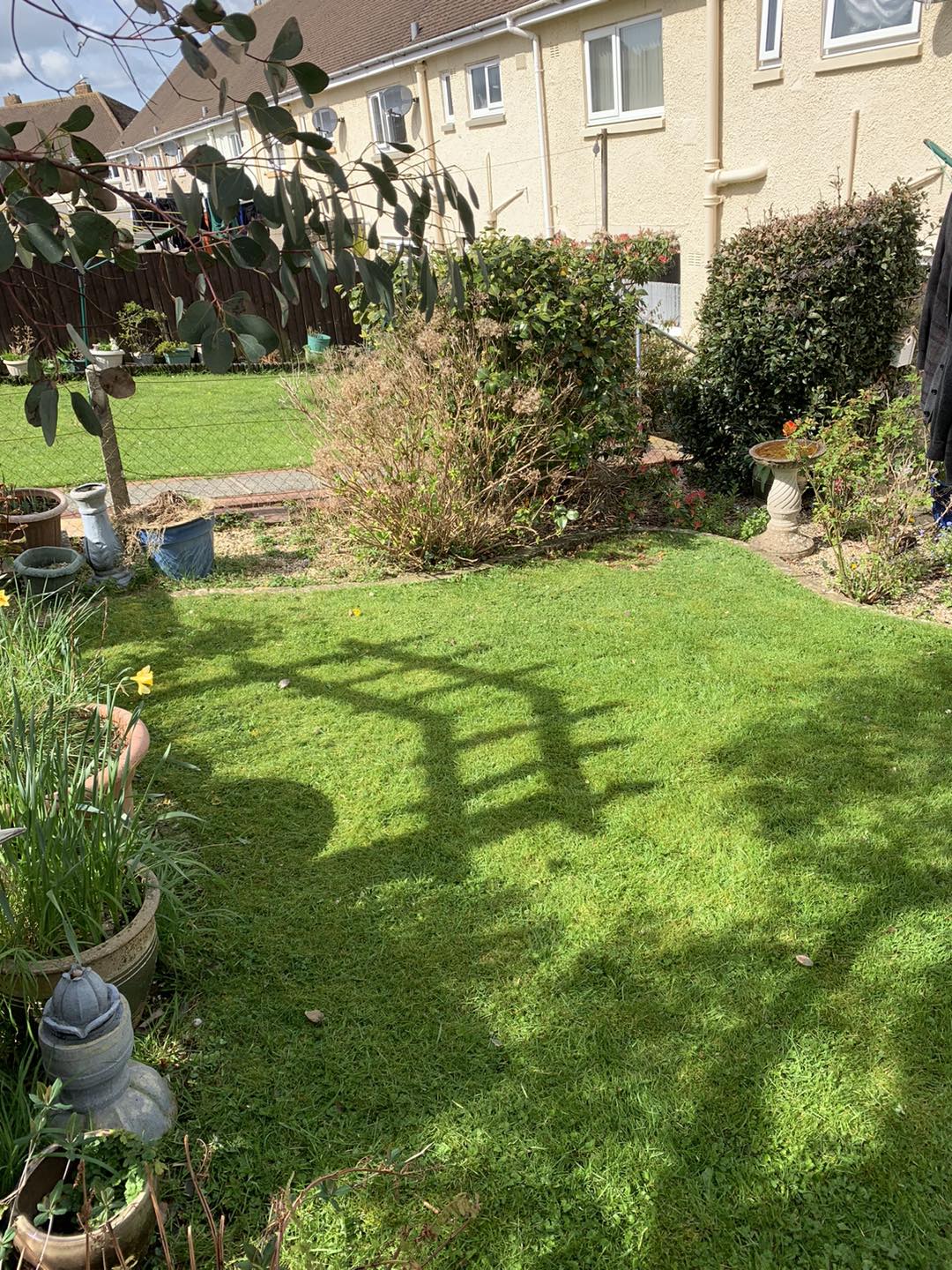 Rees's Garden Services Pembrokeshire | Call 07421 105398 today