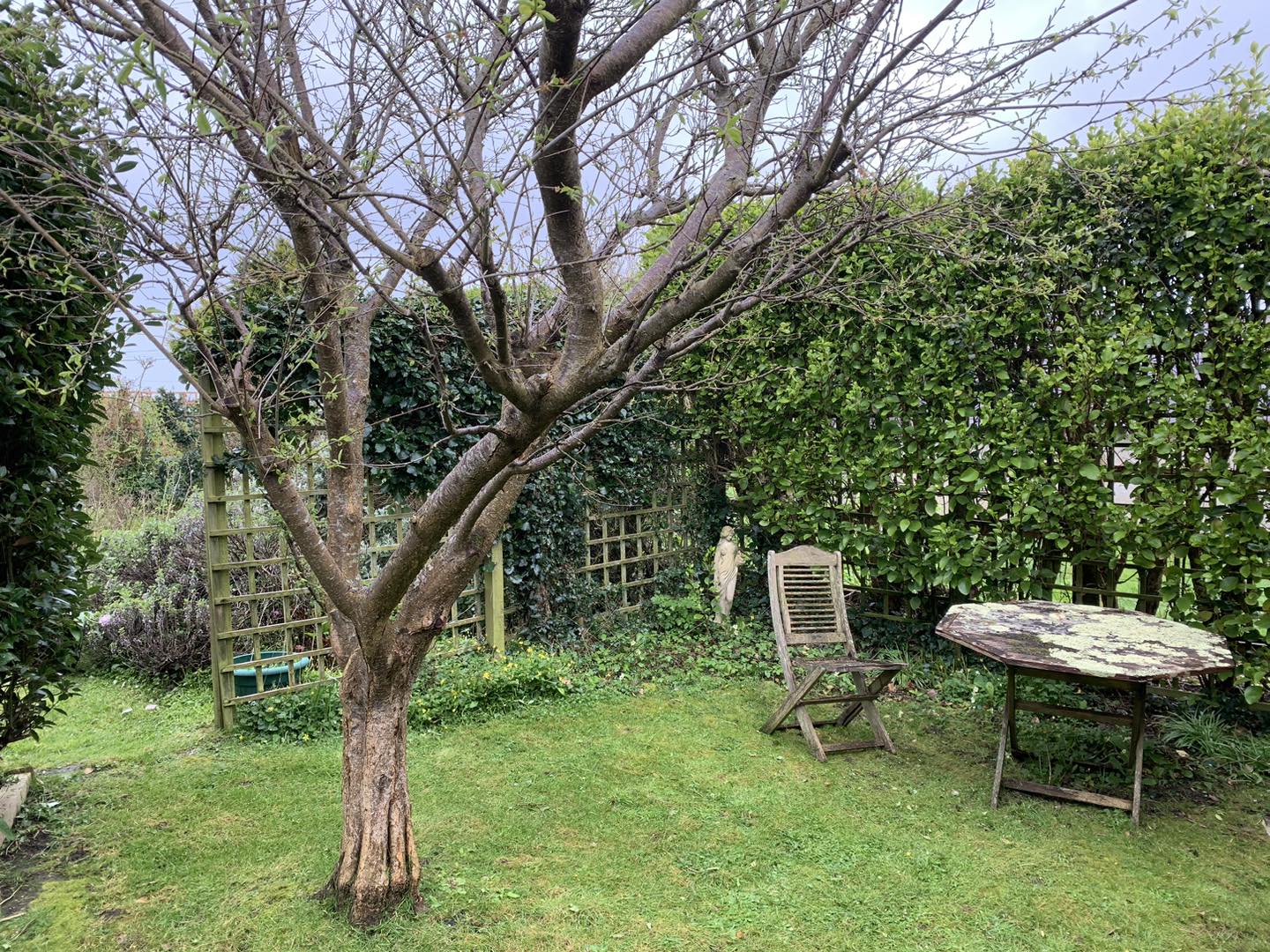 Rees's Garden Services Pembrokeshire | Call 07421 105398 today